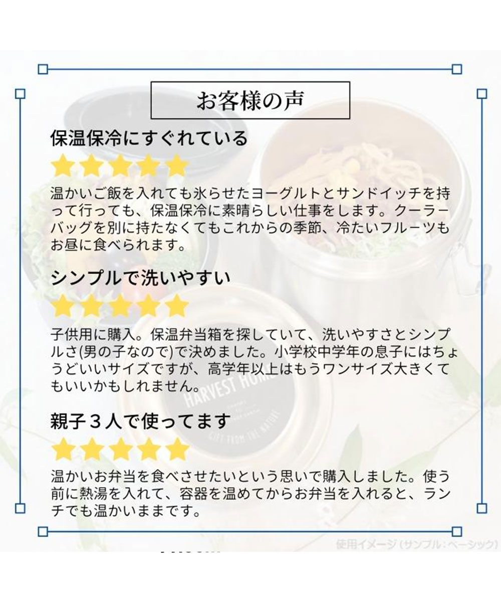 スケーター 抗菌 ステンレス ランチボックス 弁当箱 840ml 2段 ジャー 真空二重構造 保温 保冷 電子レンジOK シンプル シルバー STLB2AG : Jerico Yahoo!店 ...
