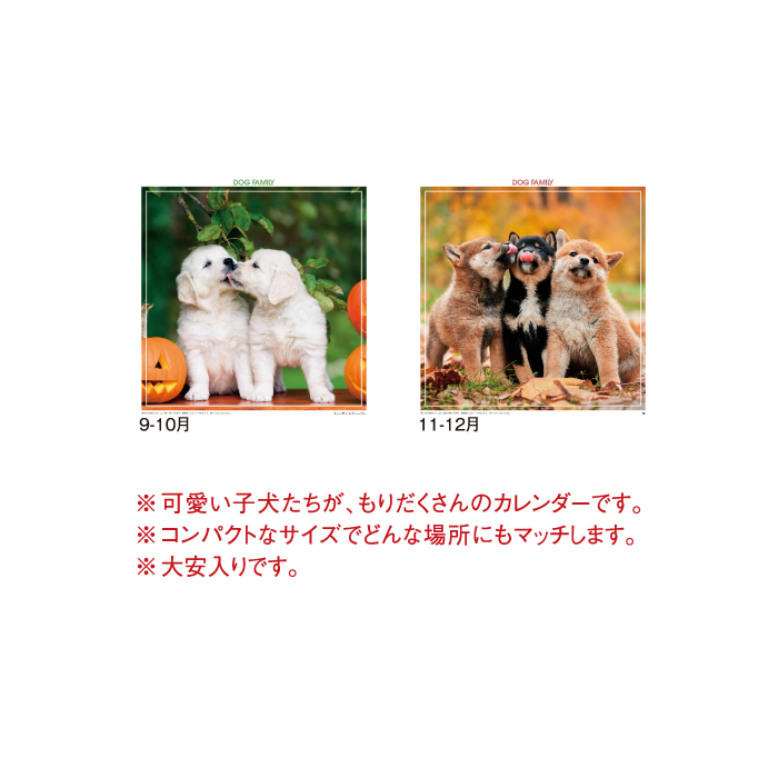 カレンダー 2025年 壁掛け ドッグファミリー SG142 2025年版 カレンダー 46/4切 犬猫 猫 犬 子犬 動物カレンダー ...
