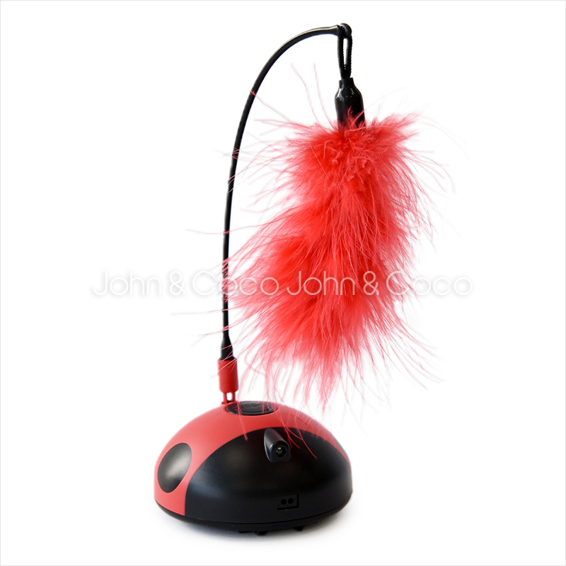 ファンタジー レディーバグ 猫 おもちゃ :FWC2900010:犬と猫のJohn&Coco’ジョン&ココ’ - 通販 - Yahoo!ショッピング