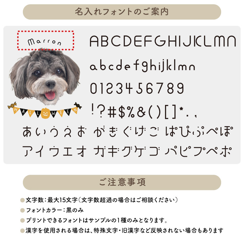 Keips Tシャツ 白 ペット ハロウィン オリジナル オーダーメイド 写真入り 着せ替え 切り抜き アニマル ギフト 名入れ TE-P8 送料無料 : ケイ・ユニフォーム フード - 通販 ...