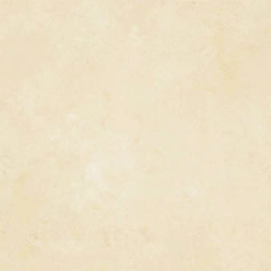 東リ フロアタイル 木目調 石目調 ルースレイ50NW-EX TTN3001 TTN3202 TTN3205 TTN3207 TTN3211 ...