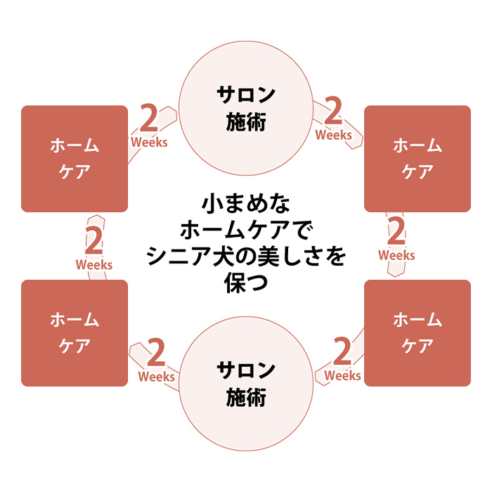 ZOIC ゾイック マチュア トリートメントミスト ハリコシケア 200ml スプレーボトル ｜ふわふわタイプ : カチオン - 通販 - Yahoo!ショッピング