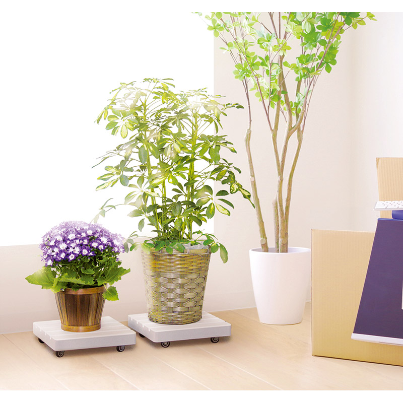 小原産業 キャスター台 CS-532 ホワイト 花台 植木鉢台 収納台 キャスター付収納台 移動台 移動棚 キャスター台車 キャスター付台 キャスター付ワゴン : 金象本舗ヤフー店 - 通販 ...