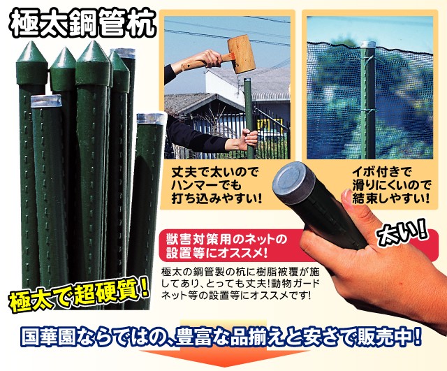 支柱 極太鋼管杭 26mm×180cm 40本組 鋼管製 個人宅OK イボ支柱 支柱 極太鋼管杭 26mm×180cm 40本組 鋼管製 個人宅OK イボ支柱