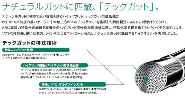 GOSEN（ゴーセン） 「□5張セット」GOSEN 「テックガットプロ16」ts604