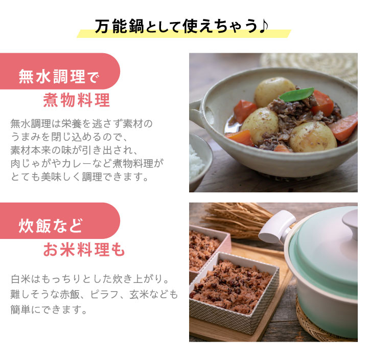 Light（ビタクラフト） ビタクラフト ライト 両手鍋 21cm ピンク 1004 : くらし屋 Yahoo!ショッピング店 - 通販 - Yahoo!ショッピング