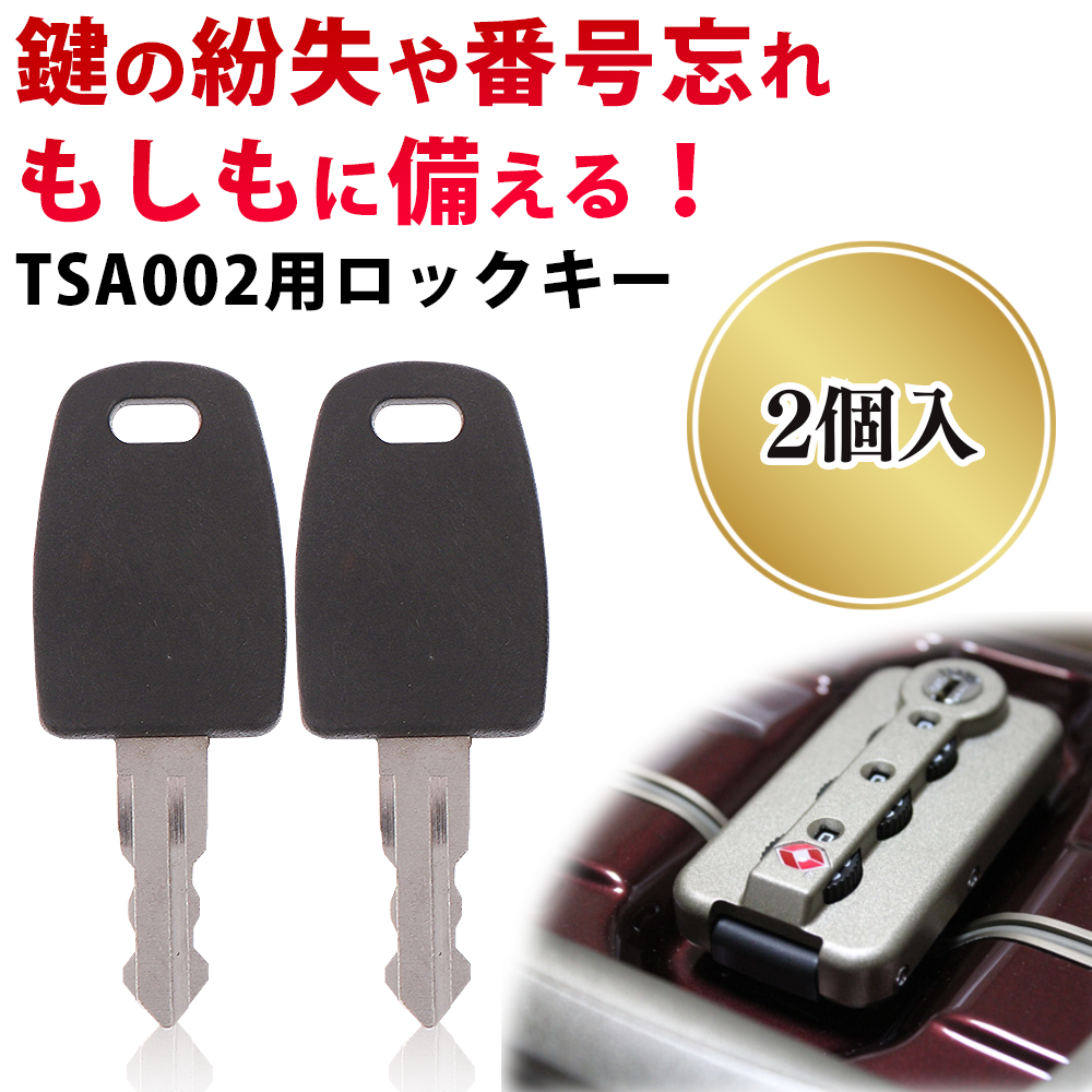 TSA002 スーツケース マスターキー 合鍵 スペア キー 鍵 スーツケース キャリーケース 解除 解錠 旅行 トラベル ユニバーサル tsa 紛失 代用 無くした : chy02 : K ...