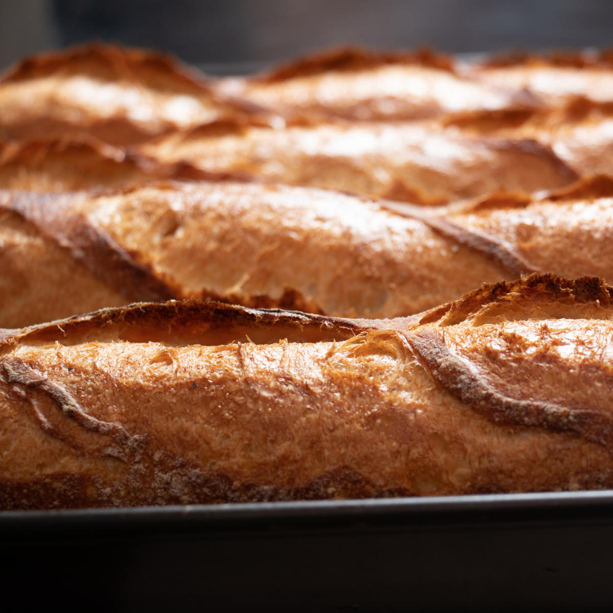 サンクラフト（SUNCRAFT） クープナイフ ステンレス製 日本製 （ 包丁 パン切り包丁 飾り切りナイフ デコレーションナイフ ...