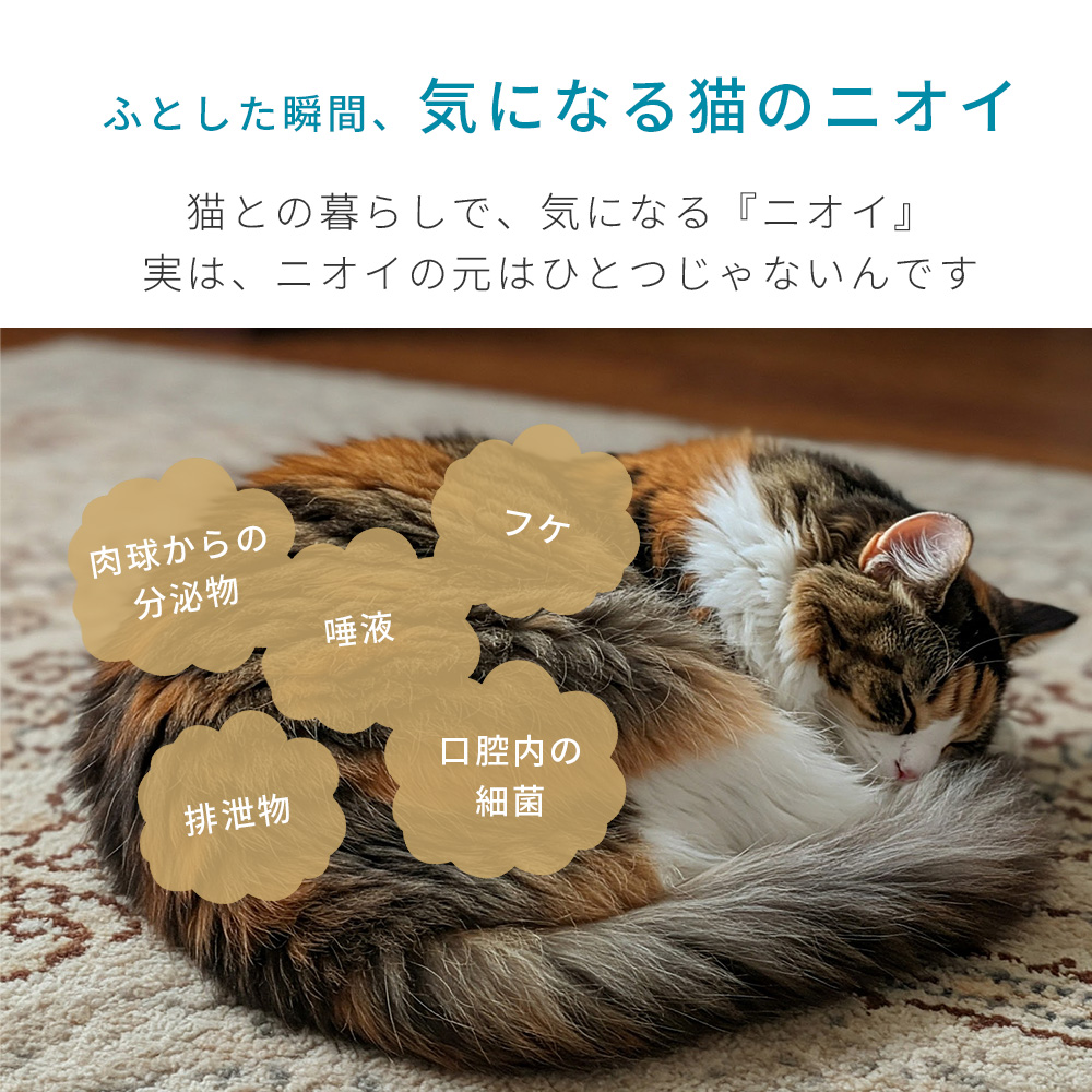 AIFY キャットタワー 据え置き B 抗菌 消臭 スリム 猫タワー大型猫 小型 ハンモック かわいい 爪とぎ ねこ ネコ 多頭飼い 子猫 シニア 省スペース アイフィー : LOGILIFE ...