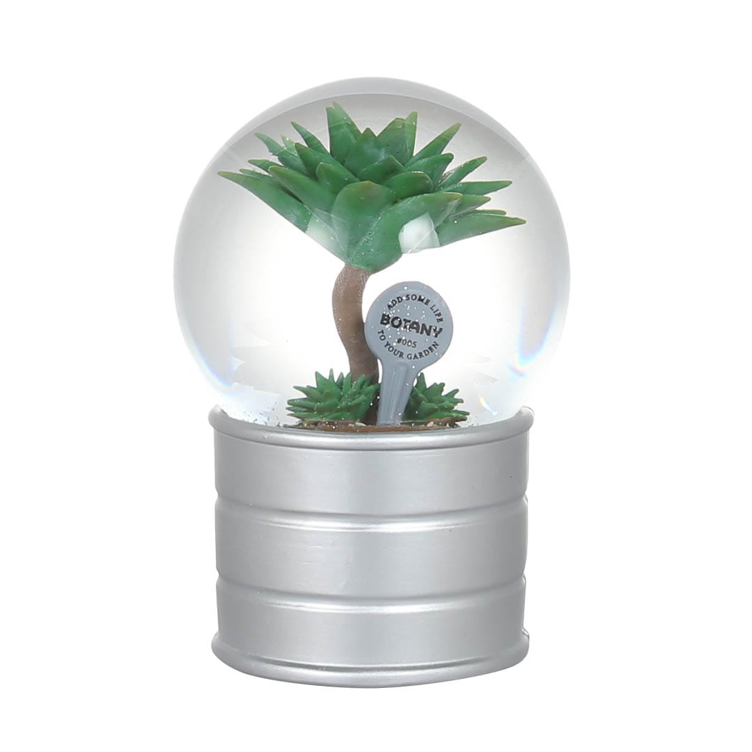 DULTON ダルトン PLANTS WATER GLOBE プランツ ウォーター グローブ スノードーム サボテン ウォーターグローブ : NEXT PIECE STORE - 通販 ...