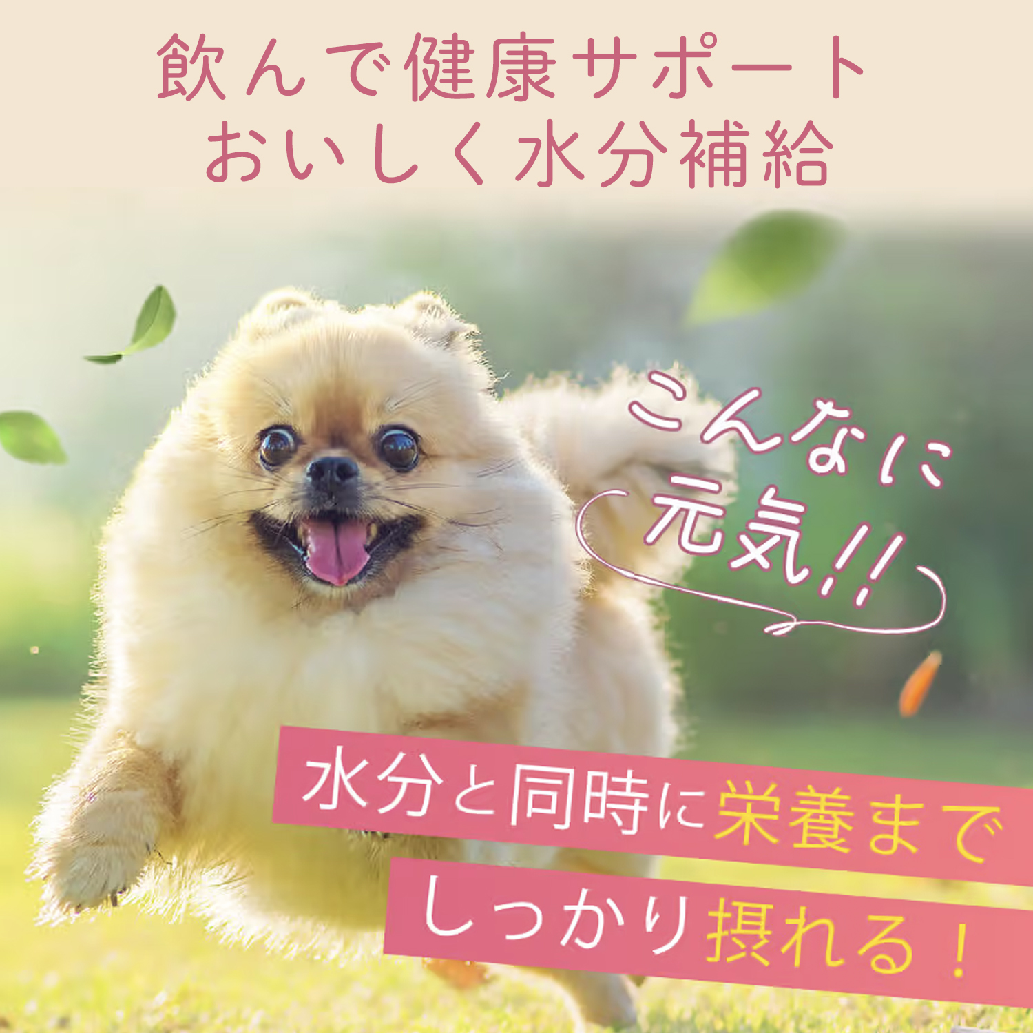 MISHONE ミシュワン 犬猫用粉末スープ かつお味 ミルク味 栄養補給 水分補給 デトックス 体内環境 国内製造 野菜 犬用 猫用 ふりかけ : mishone - 通販 - Yahoo ...