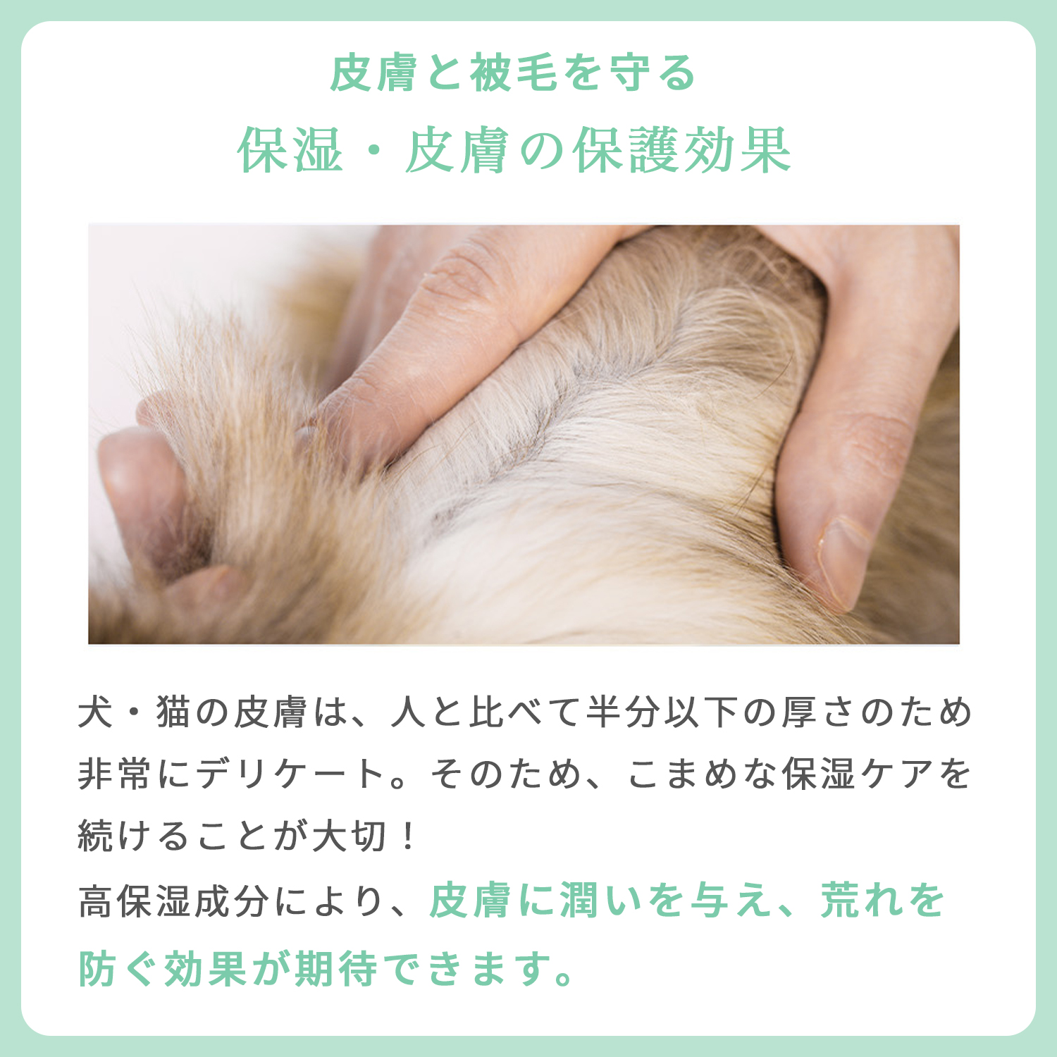 MISHONE ミシュワン Total Care Nyan トータルケア 猫用 歯磨きジェル 歯ブラシ 口腔ケア オールインワン 肉球ケア 涙やけ ケア用品 キトサン配合 口内トラブル 口臭 ...