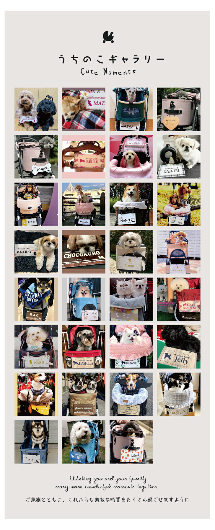 ペット ネームプレート ＜No.015＞ 犬 ギフト グッズ mo-u-ra ドッグ カート バギー ワンコ お散歩 お出かけ 名札 オーダーメイド 軽量 簡単 おしゃれ : mo-u-ra ...