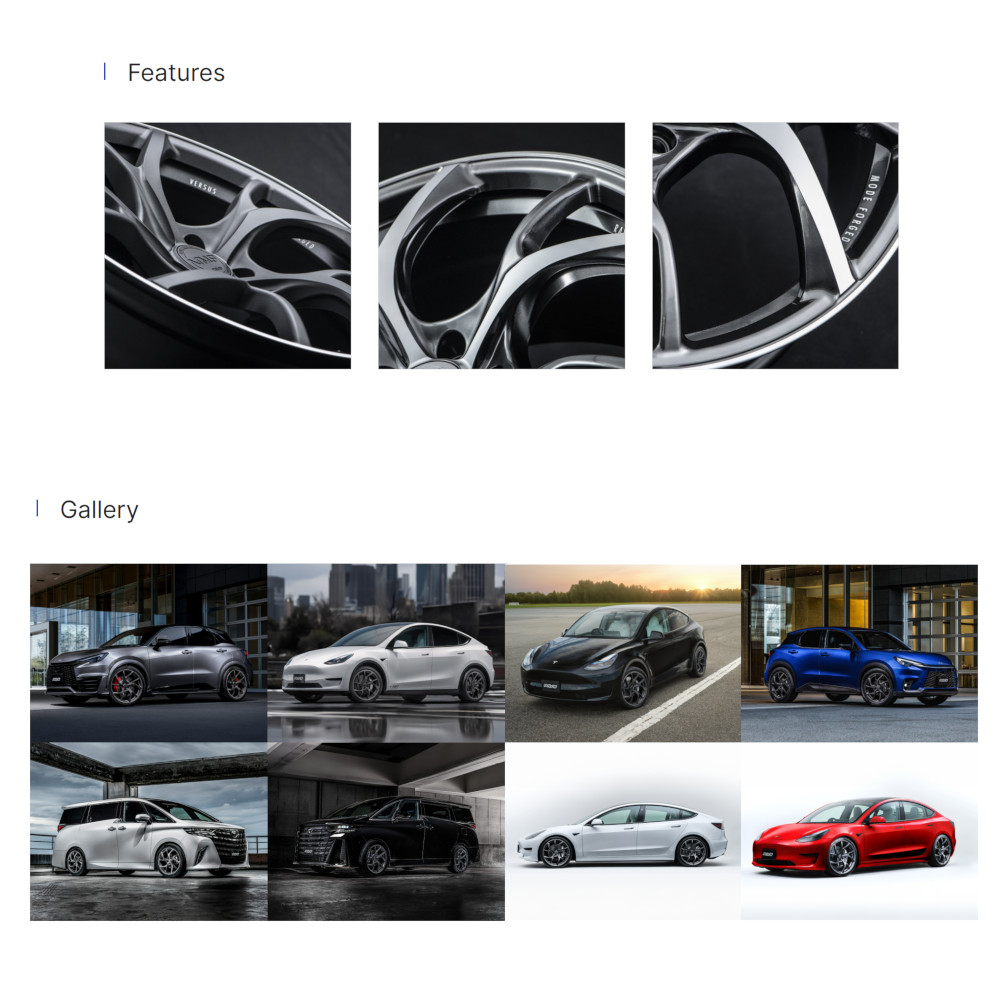 RAYS レイズ VERSUS MODE FORGET VMF C-01 5/112 20x8.5J +35 ダイヤモンドカット/シャイニング ...