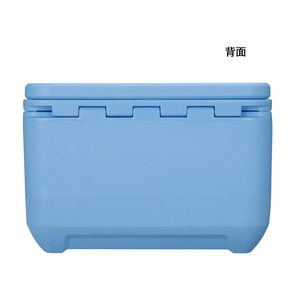 予約 4月中旬発売予定 コールマン コールマンプロ9QT デイドリーム 2218853 アウトドア キャンプ 保冷 クーラーボックス キャンプ ...