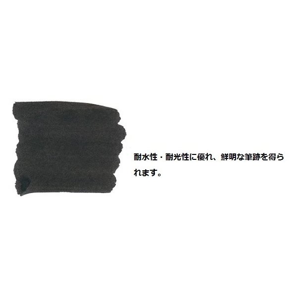 プラチナ万年筆 カーボンインク 瓶入り 60cc [クリックポスト対象外] 文房具 文具 補充用品 Platinum 黒 ブラック 顔料 ...