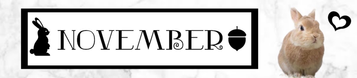 November - Yahoo!ショッピング