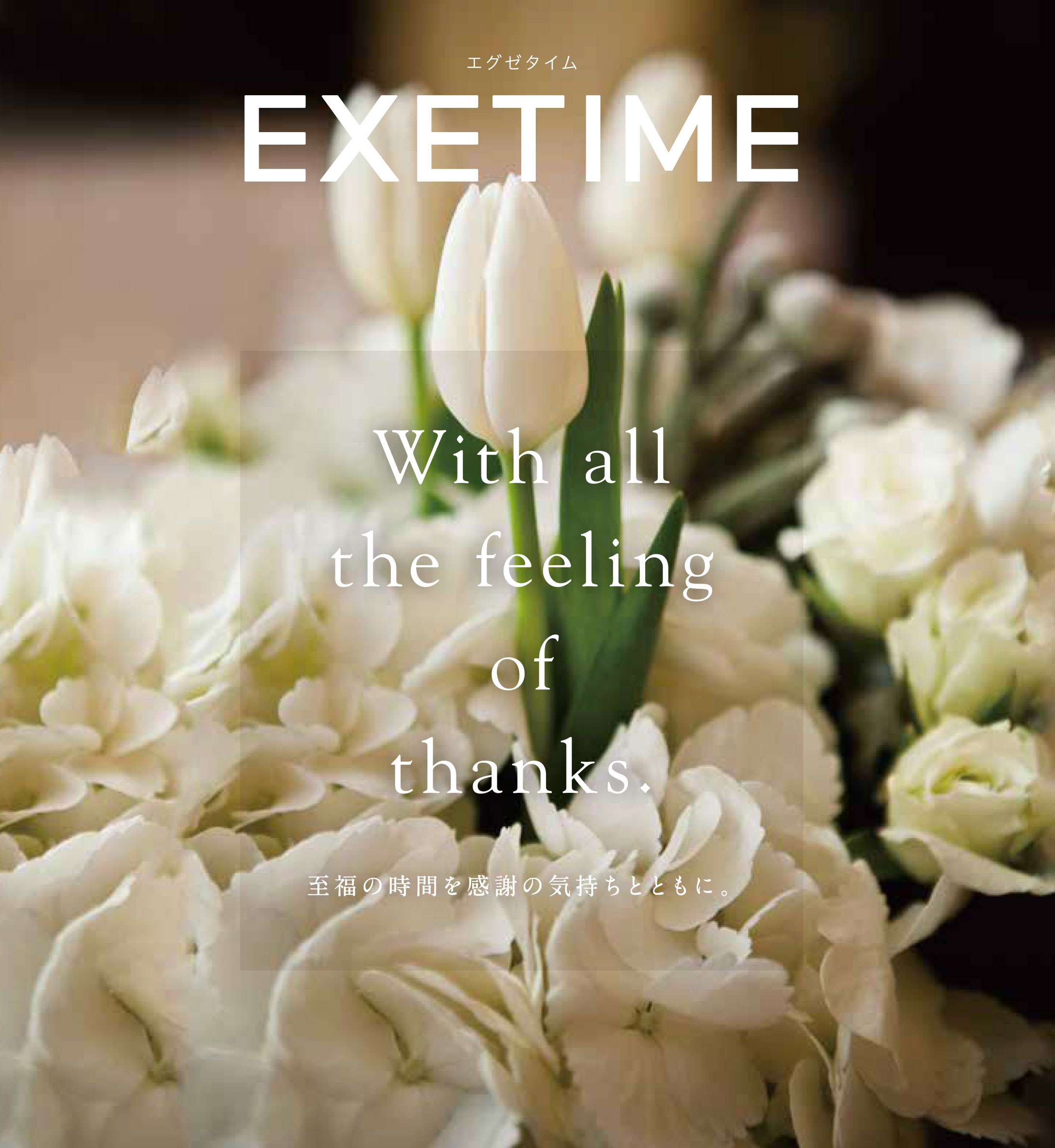 EXETIME 【180日期限】公式 カタログギフト SILVER エグゼタイム シルバー 体験型 還暦祝い 退職祝い 旅行券 宿泊券 ペア 内祝い プレゼント : カタログギフト ...