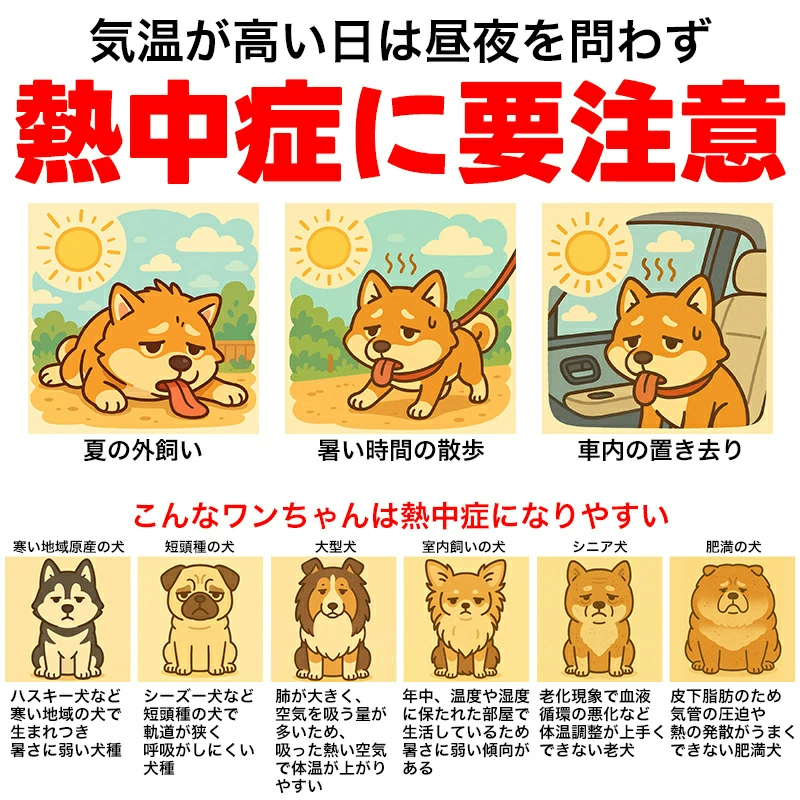 HAMI PET 名入れ ペット用 ウォーターボトル ペット 水筒 犬 水筒 名前入れ 350ml 給水ボトル 犬猫用 ペット用 給水器 携帯 ...
