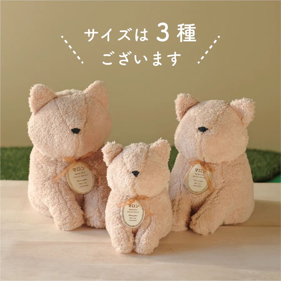 ペット用 骨壺カバー UTATANE もこち 猫 名入れ ぬいぐるみ 2寸〜4寸 骨袋 仏壇 ペット供養 メモリアルグッズ 遺骨入 : 犬服・猫用品のPetGround - 通販 ...