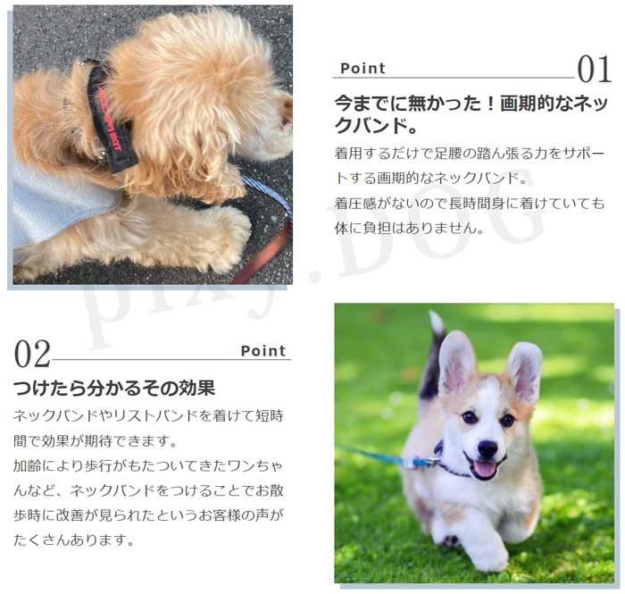 売れ筋ランキング ACCAPI SOZO EQT ペット用 ネックバンド 犬 首輪 調節可能 歩行サポート 散歩 シニア M 老犬 kochi-ot.main.jp