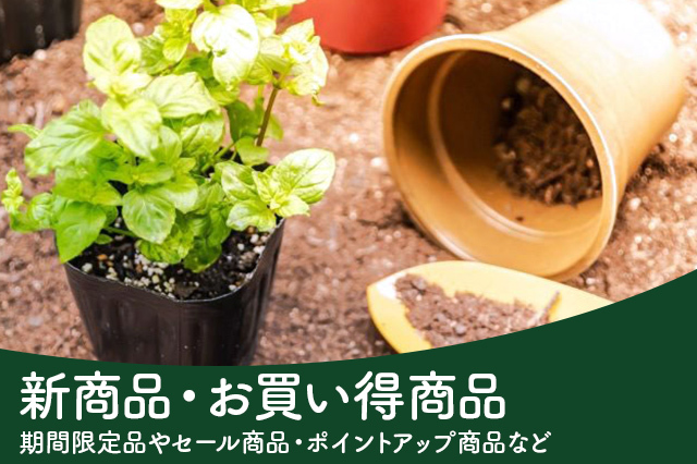 ハーブ苗のポタジェガーデン ハーブ苗のポタジェガーデン