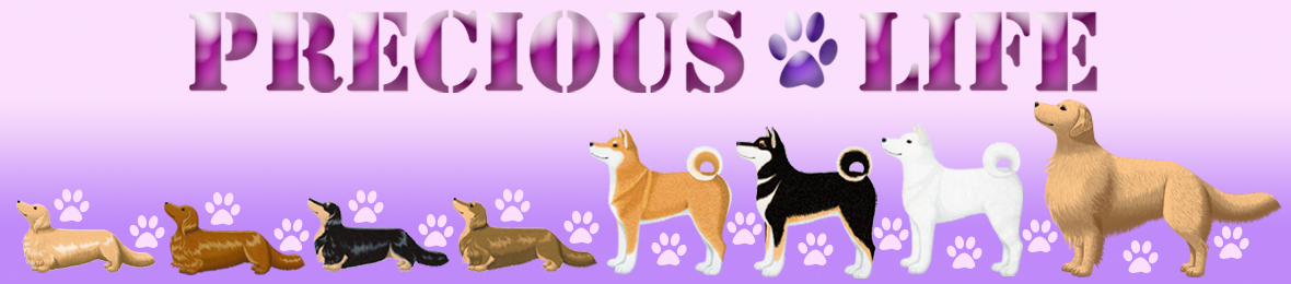 PRECIOUS LIFE - Yahoo!ショッピング