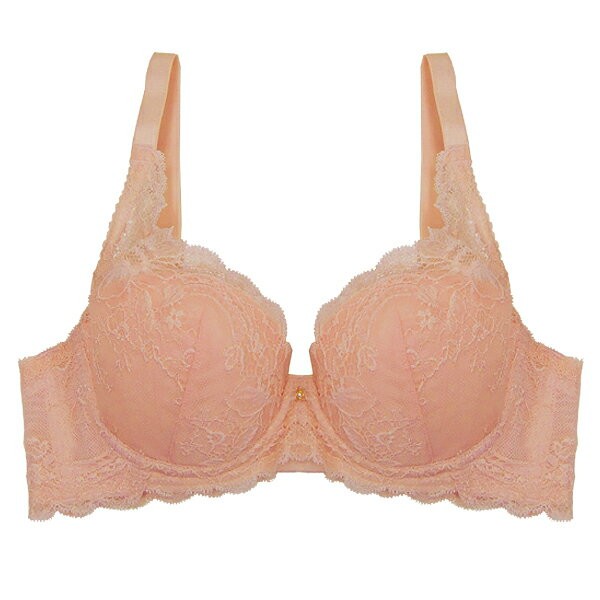 Premier フルカップブラジャー ぶら レース 育乳 A70 A75 B65 B70 B75 C70 C75 D70 D75 D80 E70 E75 E80 F70 F75 F80 黒 ...