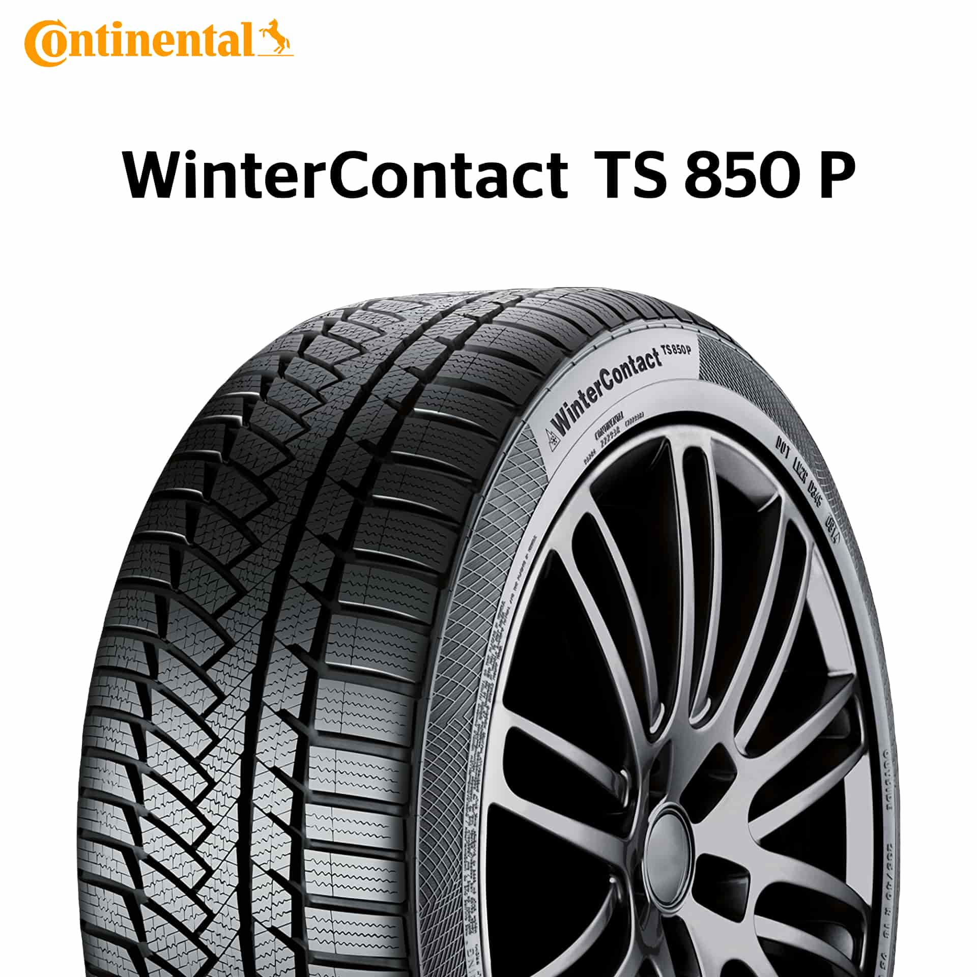 Continental Wintercontact Ts 850