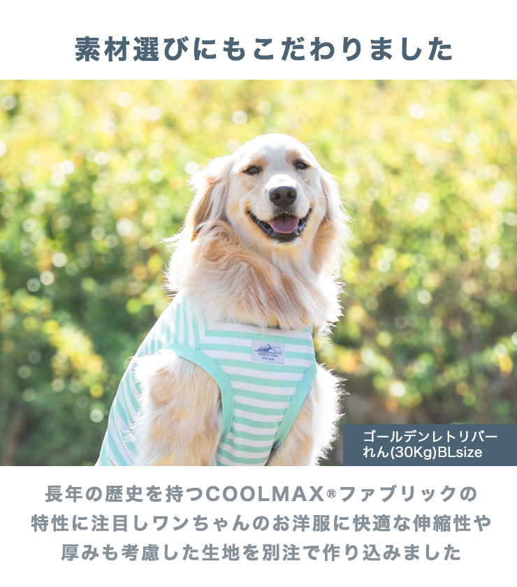 RADICA 【予約4月22日順次発送】【早割10％OFF】犬 服 大型犬 接触冷感 虫よけ ラディカ グリィ コラボ COOLMAX 鹿の子タンク ドッグウエア 防虫 メール便可 : 犬の服 ...