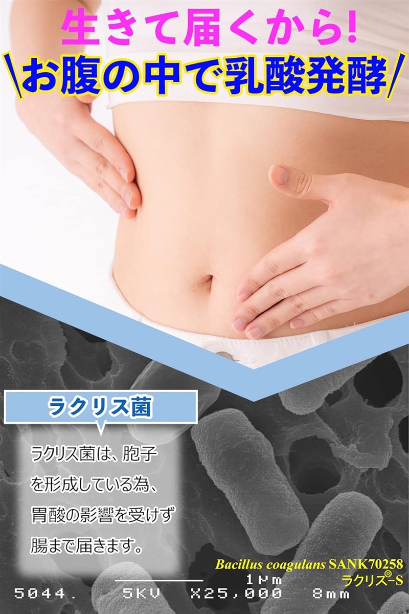 アンドウェル ちょうかつ イヌリン 食物繊維 高分子イヌリン 有機アガベ由来 粉末をギュッと固めたタブレット186粒(1) : REAPRI ...