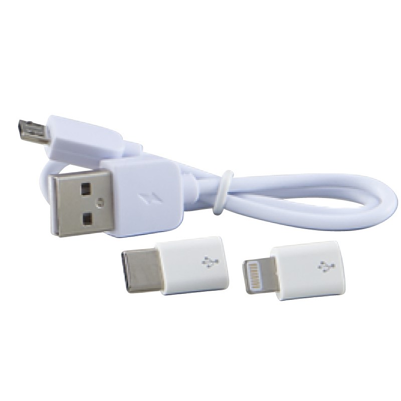 ギフト モバイルバッテリー5000mAh（iPhone・USB Type-C用アダプター付） 内祝い お誕生日 出産内祝い 高級 プレゼント 香典返し 法要 法事 還暦 : メモリアルギフト ...