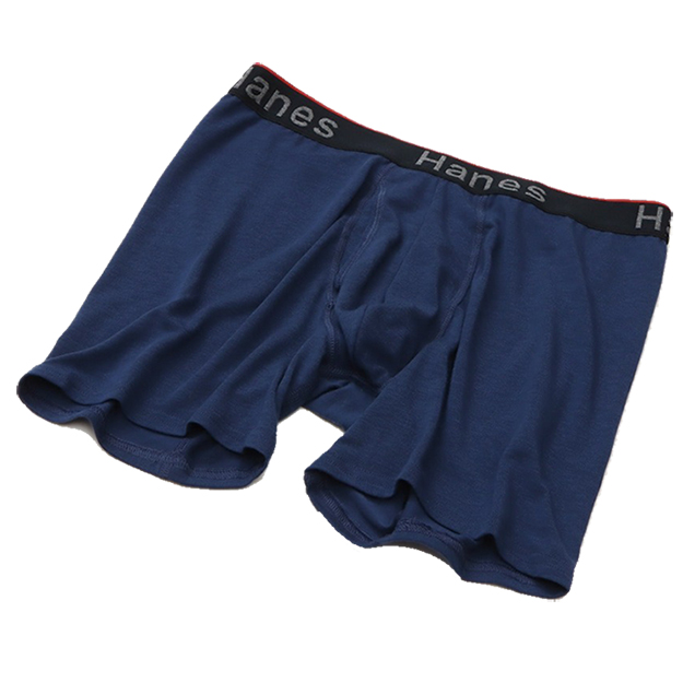 Hanes（ヘインズ） ボクサーパンツ メンズ COMFORT FLEX FIT トータルサポートポーチ ブリーフ 前開き おしゃれ ブランド ...