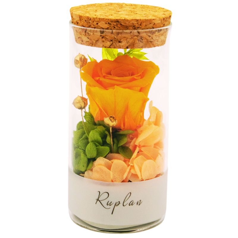 プリザーブドフラワー ギフト 花 シェリ ガラス 誕生日 プレゼント 結婚祝い 結婚記念日 開店祝い 開業祝い 退職祝い 卒業祝い プリザードフラワー 爆買 : プリザーブドフラワー ...