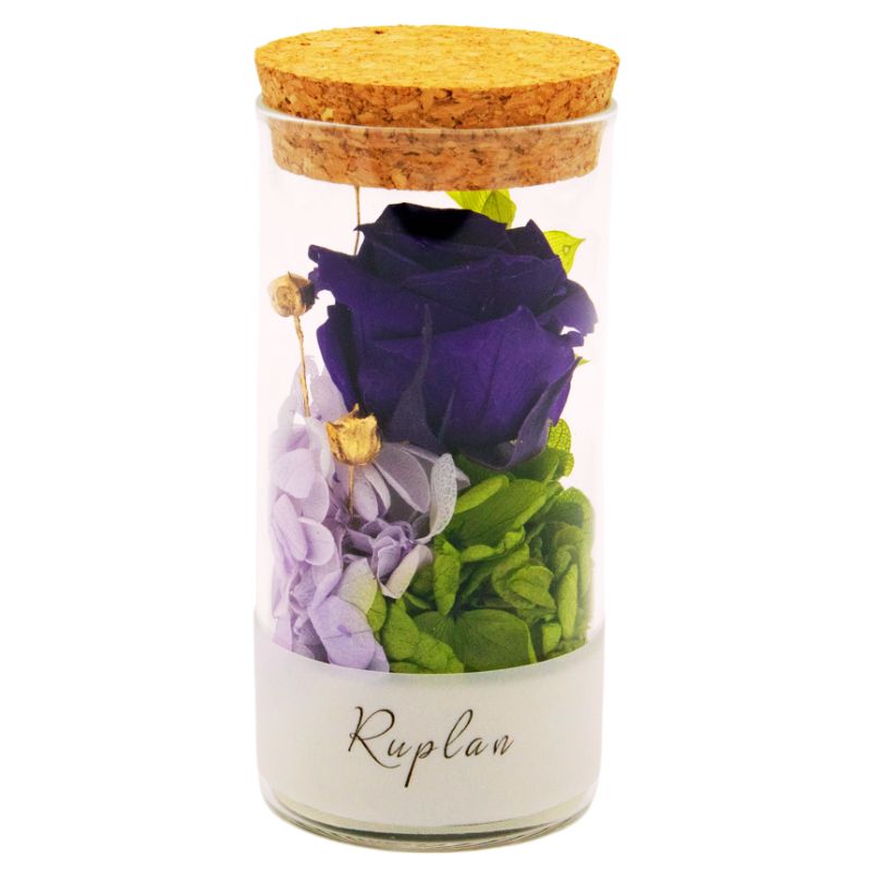 プリザーブドフラワー ギフト 花 シェリ ガラス 誕生日 プレゼント 結婚祝い 結婚記念日 開店祝い 開業祝い 退職祝い 卒業祝い プリザードフラワー 爆買 : プリザーブドフラワー ...