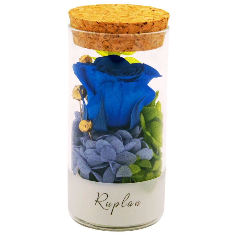 プリザーブドフラワー ギフト 花 シェリ ガラス 誕生日 プレゼント 結婚祝い 結婚記念日 開店祝い 開業祝い 退職祝い 卒業祝い プリザードフラワー 爆買 : プリザーブドフラワー ...