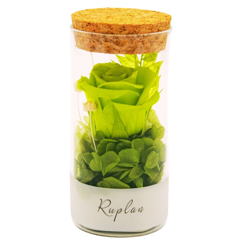 プリザーブドフラワー 誕生日 プレゼント シェリ ガラス 結婚祝い 結婚記念日 開店祝い 開業祝い 退職祝い 卒業祝い 母の日 プリザードフラワー ギフト 送料無料 : プリザーブドフラワー ...