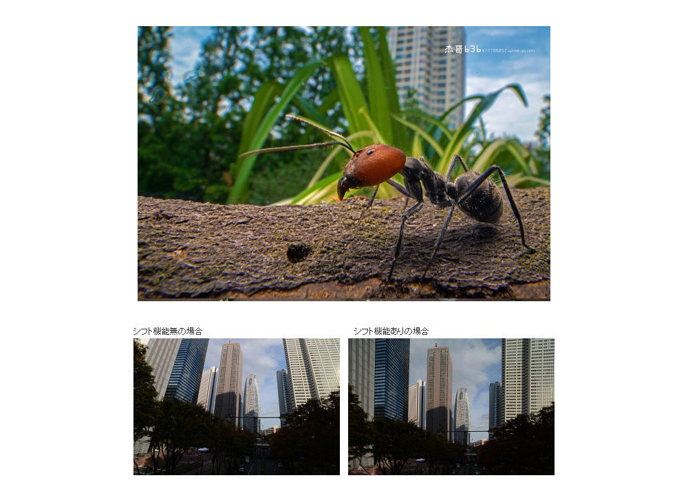 LAOWA LAOWA(ラオワ) 15mm F4 WIDE ANGLE MACRO ソニーAマウント LAOWA LAOWA(ラオワ) 15mm F4 WIDE ANGLE MACRO ソニーAマウント