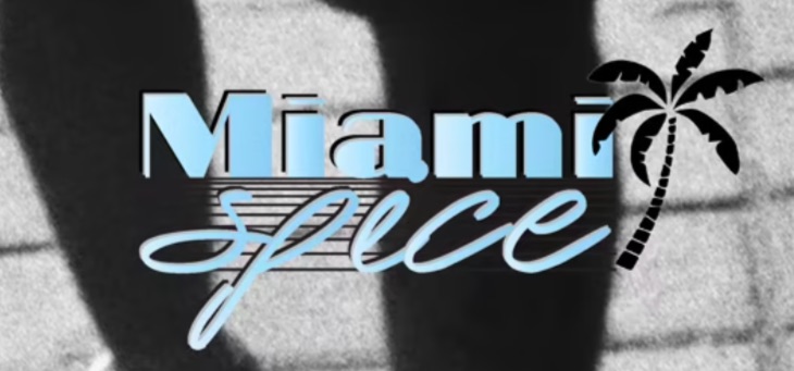 期間限定で特別価格 サーフボード ショートボード チリCHILLI --MIAMI SPICE マイアミ スパイス TWIN TECH 軽量 ...