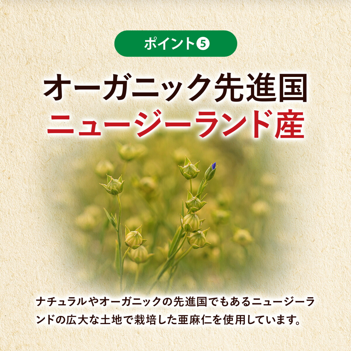 甲羅組 ニュージーランド産 オーガニック 亜麻仁油 500ml 無農薬 有機栽培 アマニ あまに アマニ油 アマニオイル 亜麻仁オイル ...