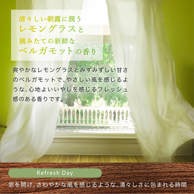 アーユルタイム リフレッシュデイ ボトル ( 520g )/ : 爽快ドラッグ