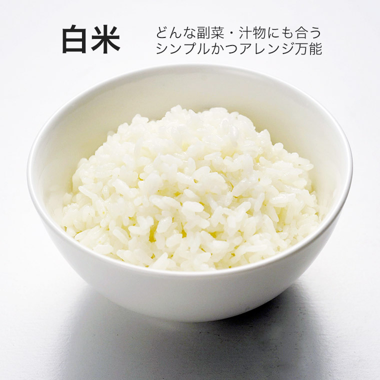 マジックライス ななこめっつ 白飯 20食 非常食 保存食 アルファ米 サタケ アレルギー対応 1FMR31100ZE ...