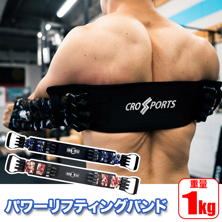 谷村実業 パワーリフティングバンド TAN-5009 エキスパンダー トレーニング 筋トレ シェイプアップ バストアップ 運動 スポーツ : tan-5009 : サンワショッピング - 通販 ...