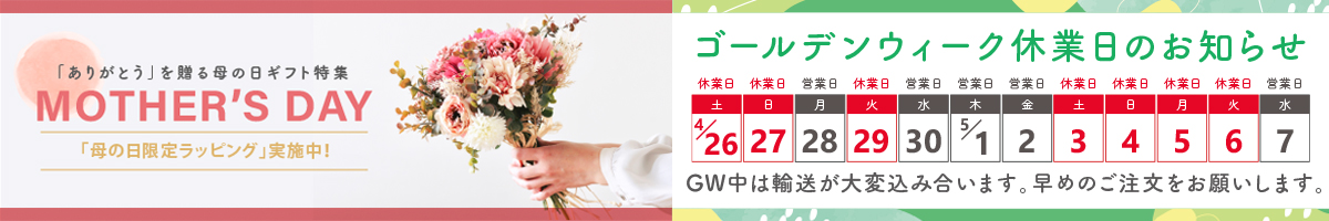 ひだまり雑貨店サニースタイル - AXCIS/アクシス（ブランド）｜Yahoo!ショッピング