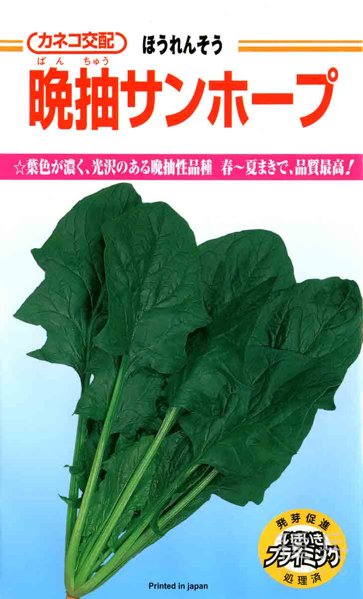 ホウレンソウ 種 『晩抽サンホープ』 カネコ種苗/L3万粒 : 種兵ネットショッピング - 通販 - Yahoo!ショッピング