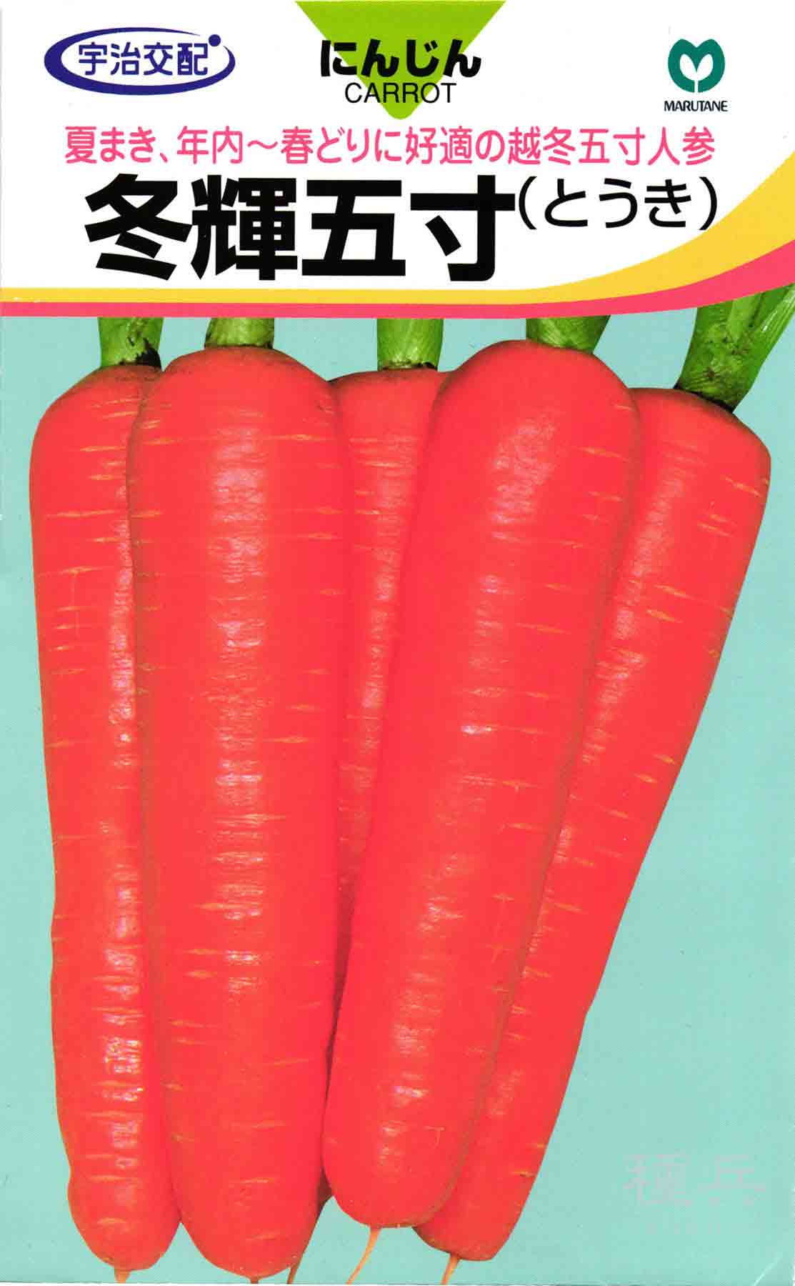 ニンジン 種 『冬輝五寸』 丸種/コート10000粒 : 種兵ネットショッピング - 通販 - Yahoo!ショッピング