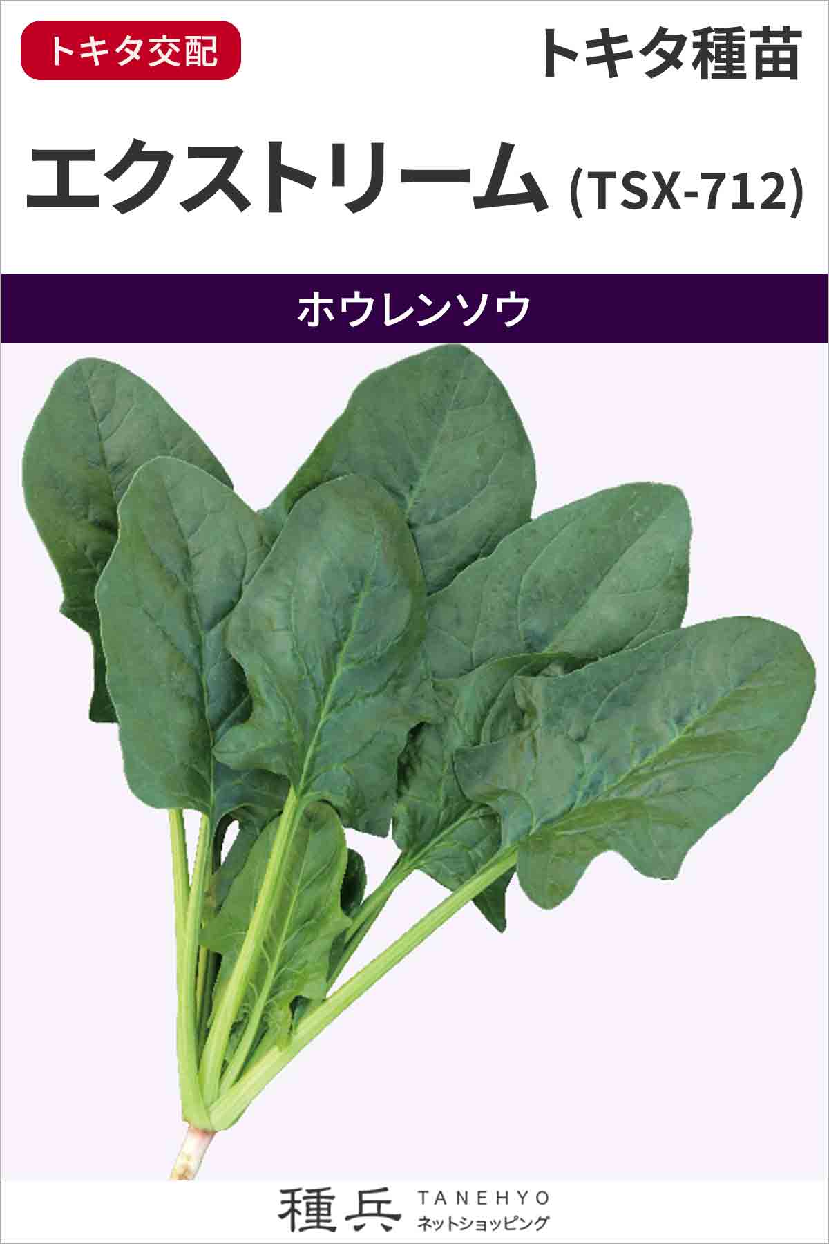 ホウレンソウ 種 『エクストリーム (TSX-712)』 トキタ種苗/M3万粒 : 種兵ネットショッピング - 通販 - Yahoo!ショッピング