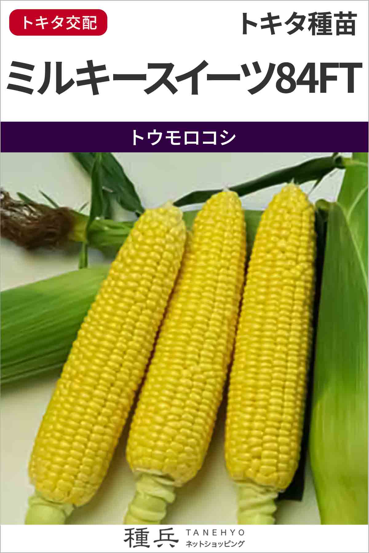 スイートコーン 種 『ミルキースイーツ84FT』 トキタ種苗/2000粒 : 種兵ネットショッピング - 通販 - Yahoo!ショッピング
