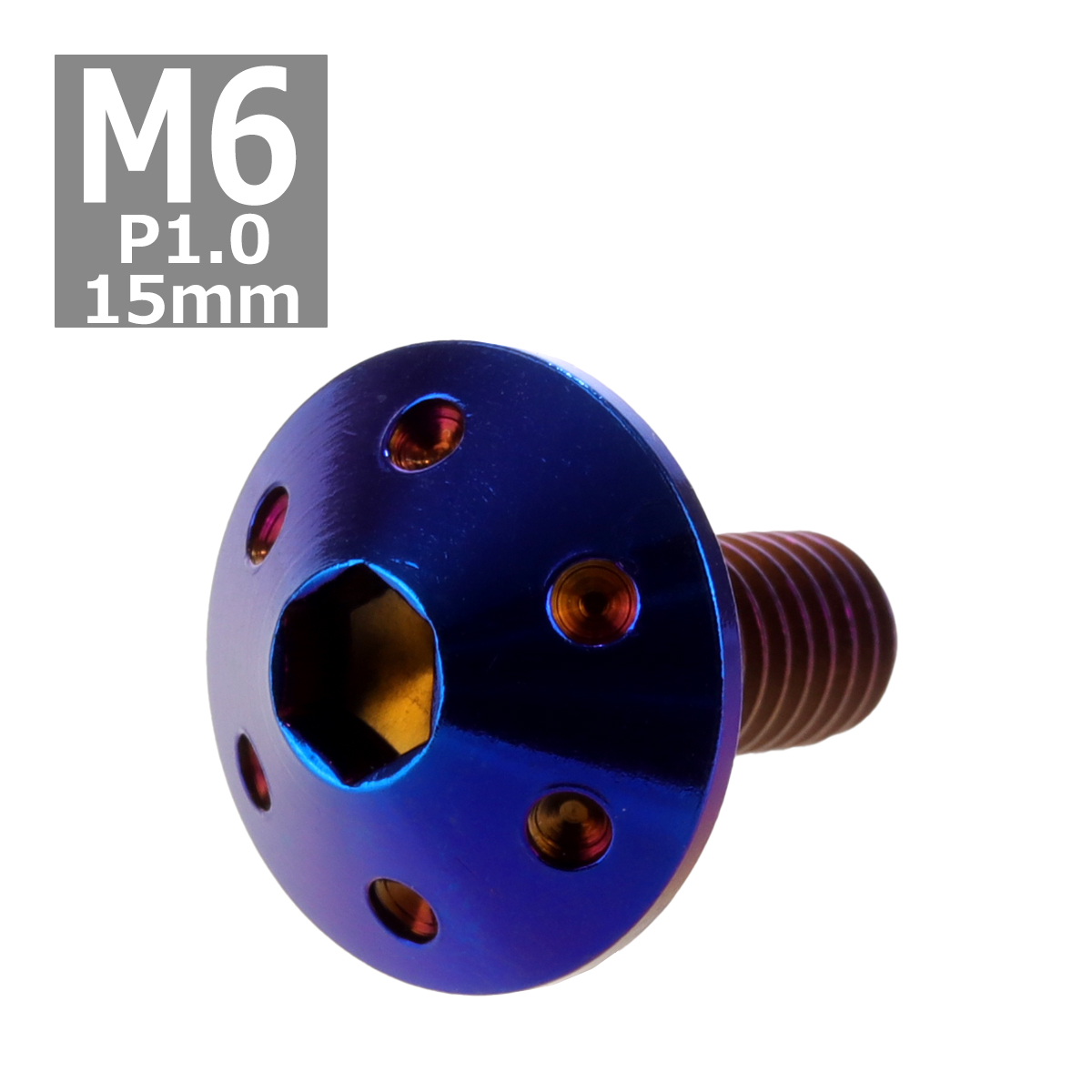 ボタンボルト M6×15mm P1.0 ホールヘッド ステンレス 焼きチタンカラー 1個 TR0080 : TECH-MASTER - 通販 - Yahoo!ショッピング