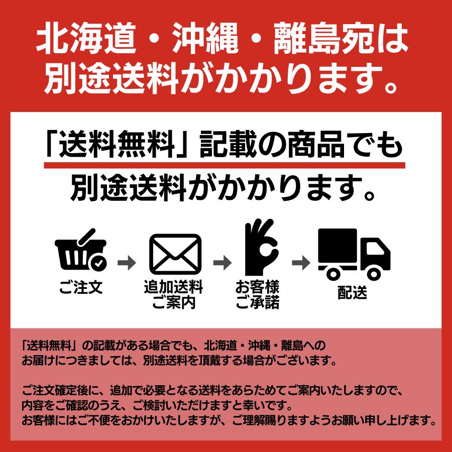 バイオ チャック付きポリ袋 (BF-4) ブライトイン 0.04mm×120mm×170mm 1